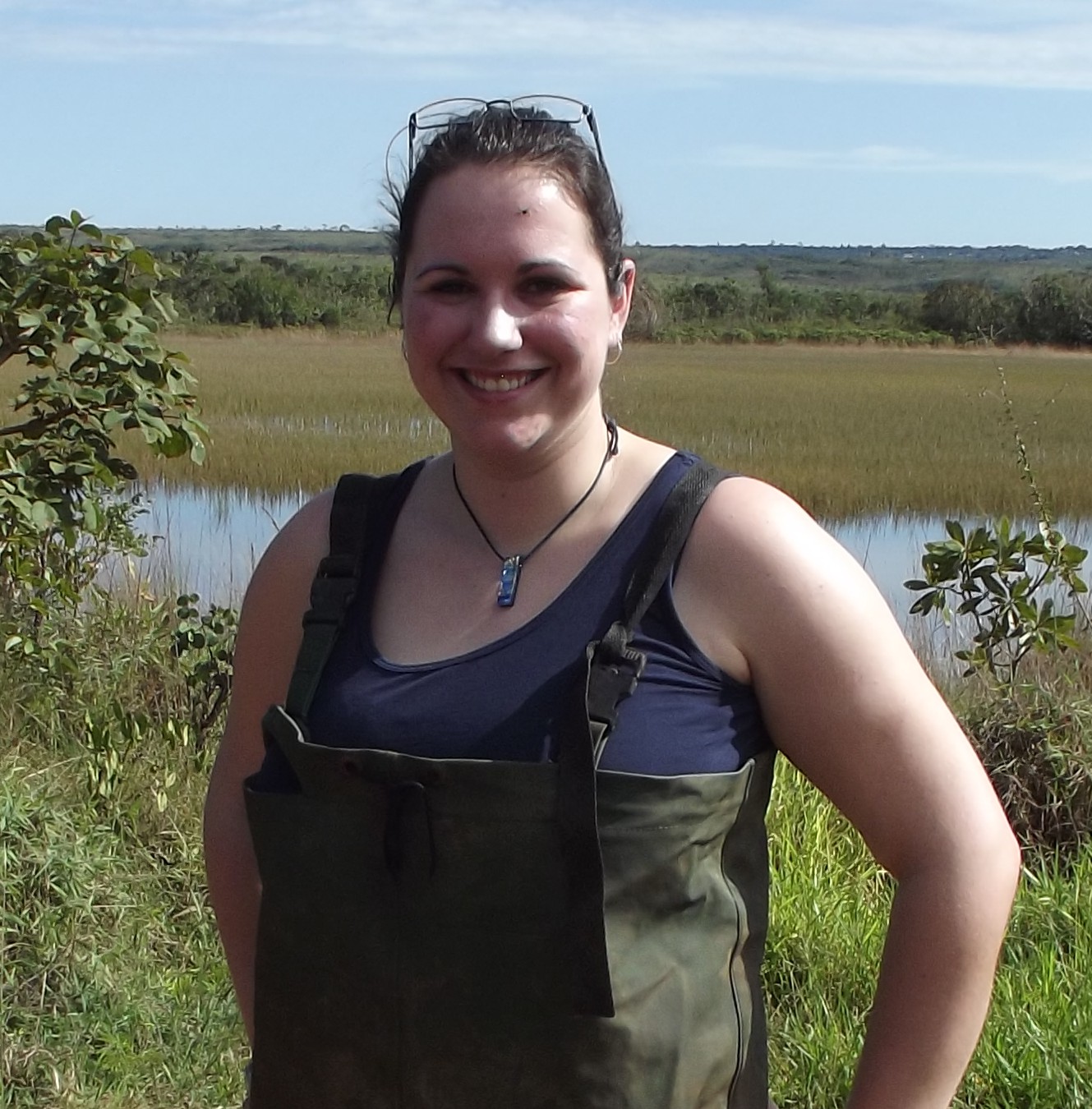 Arrested Development: Why turtles Lay Eggs – The Herpetological Society ...